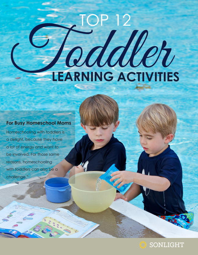 12 Learning Activities to Occupy Your Toddler During Homeschool ...