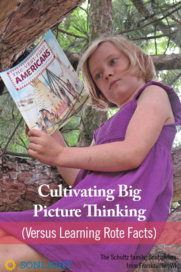Cultivating Big Picture Thinking (Versus Learning Rote Facts ...