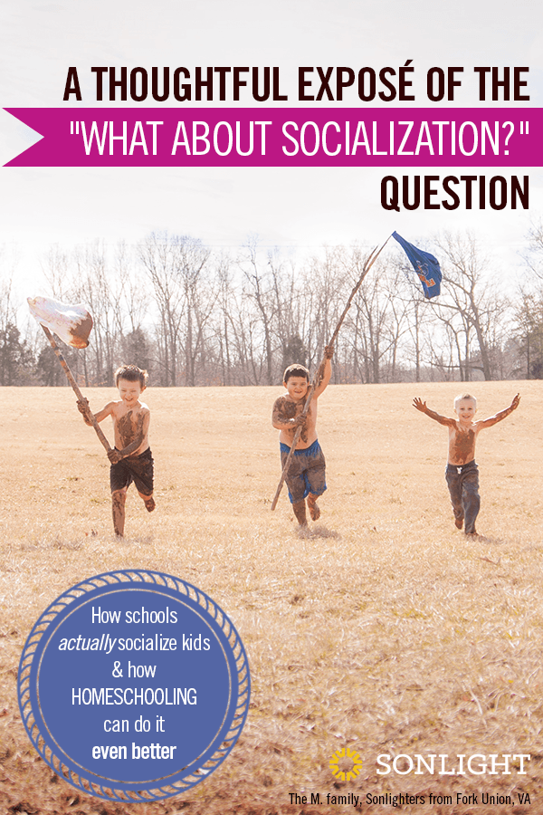 A Thoughtful Exposé of the "What About Socialization?" Question ...