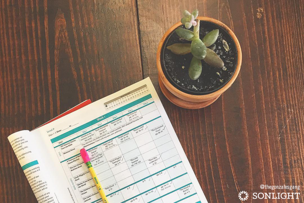 The Importance of Knowing Your “Why” for Homeschooling - Sonlight ...