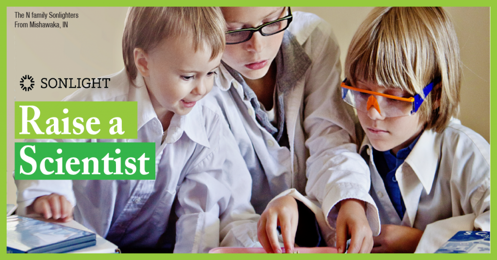 Build a Working Arm Muscle: A Science Activity Tutorial - Sonlight ...