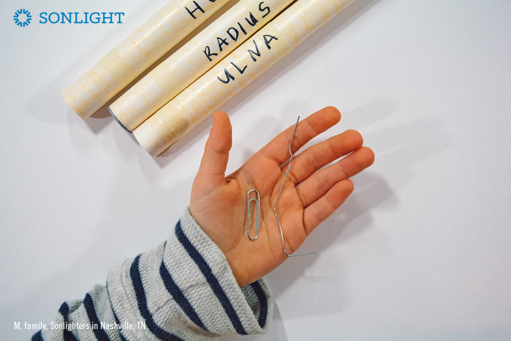 Build a Working Arm Muscle: A Science Activity Tutorial - Sonlight ...