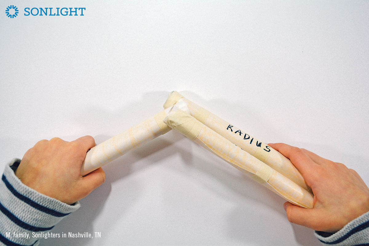 Build a Working Arm Muscle: A Science Activity Tutorial - Sonlight ...