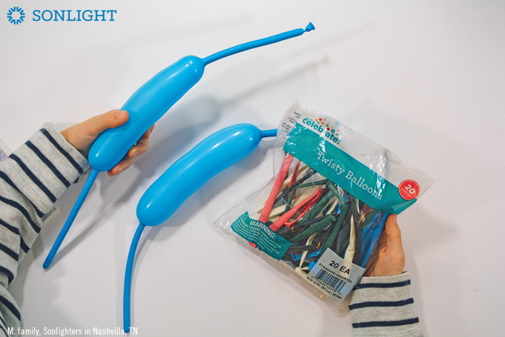 Build a Working Arm Muscle: A Science Activity Tutorial - Sonlight ...