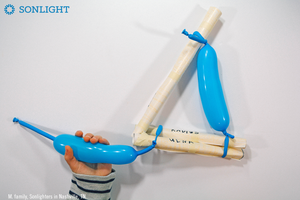Build a Working Arm Muscle: A Science Activity Tutorial - Sonlight ...