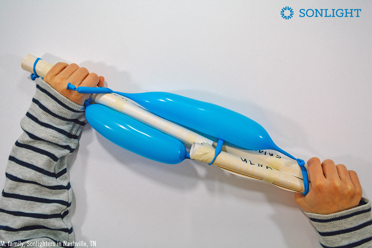 Build a Working Arm Muscle: A Science Activity Tutorial - Sonlight ...