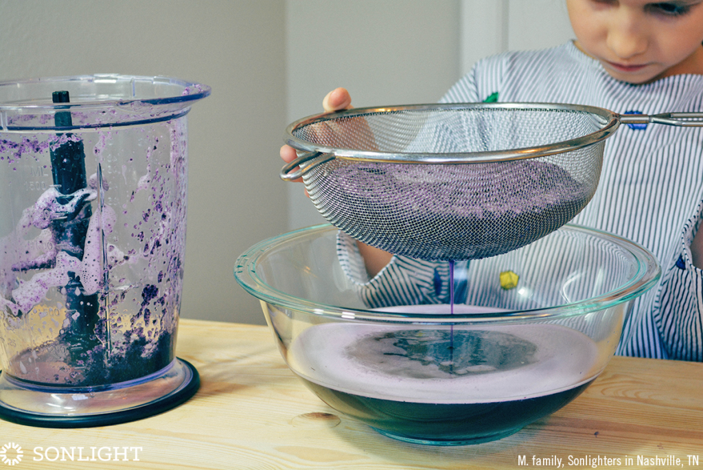 Kitchen Chemistry: Testing pH Levels with Cabbage - Sonlight ...