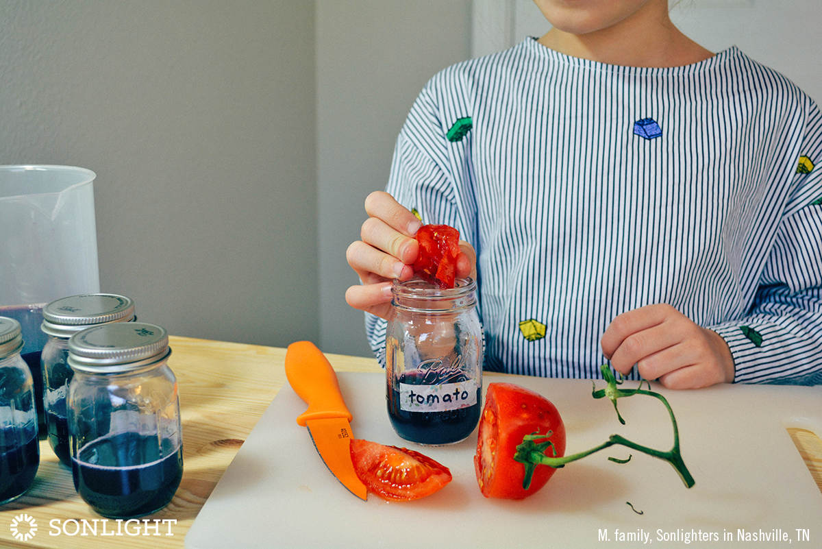 Kitchen Chemistry: Testing pH Levels with Cabbage - Sonlight ...