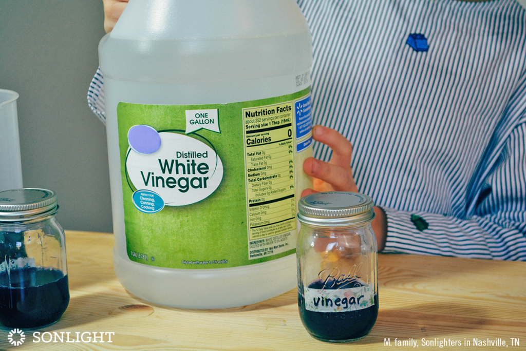 Kitchen Chemistry: Testing pH Levels with Cabbage - Sonlight ...