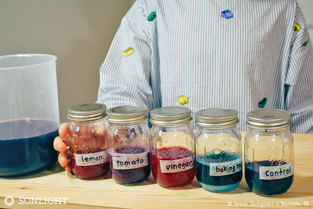 Kitchen Chemistry: Testing pH Levels with Cabbage - Sonlight ...