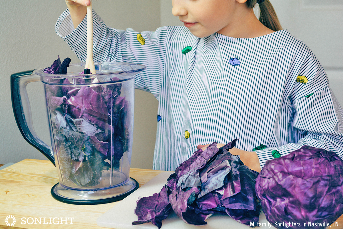 Kitchen Chemistry: Testing pH Levels with Cabbage - Sonlight ...
