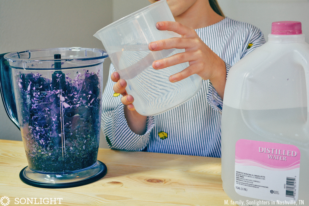 Kitchen Chemistry: Testing pH Levels with Cabbage - Sonlight ...