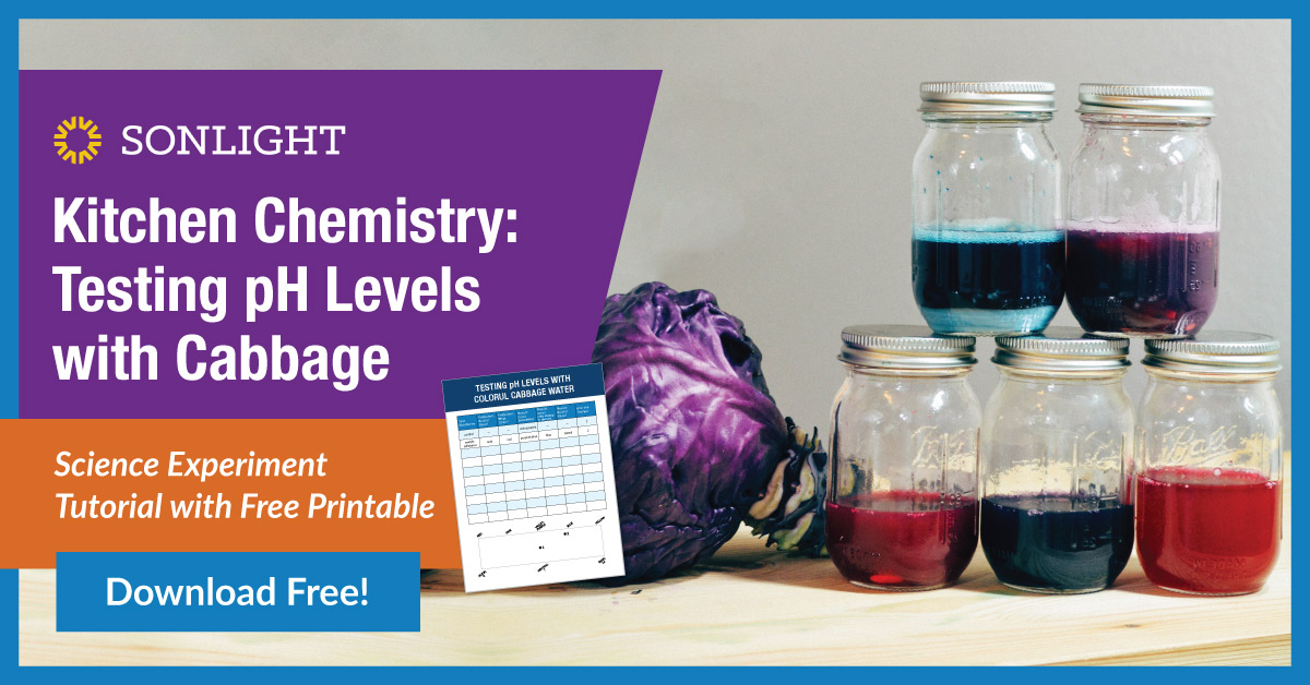 Kitchen Chemistry: Testing pH Levels with Cabbage - Sonlight ...
